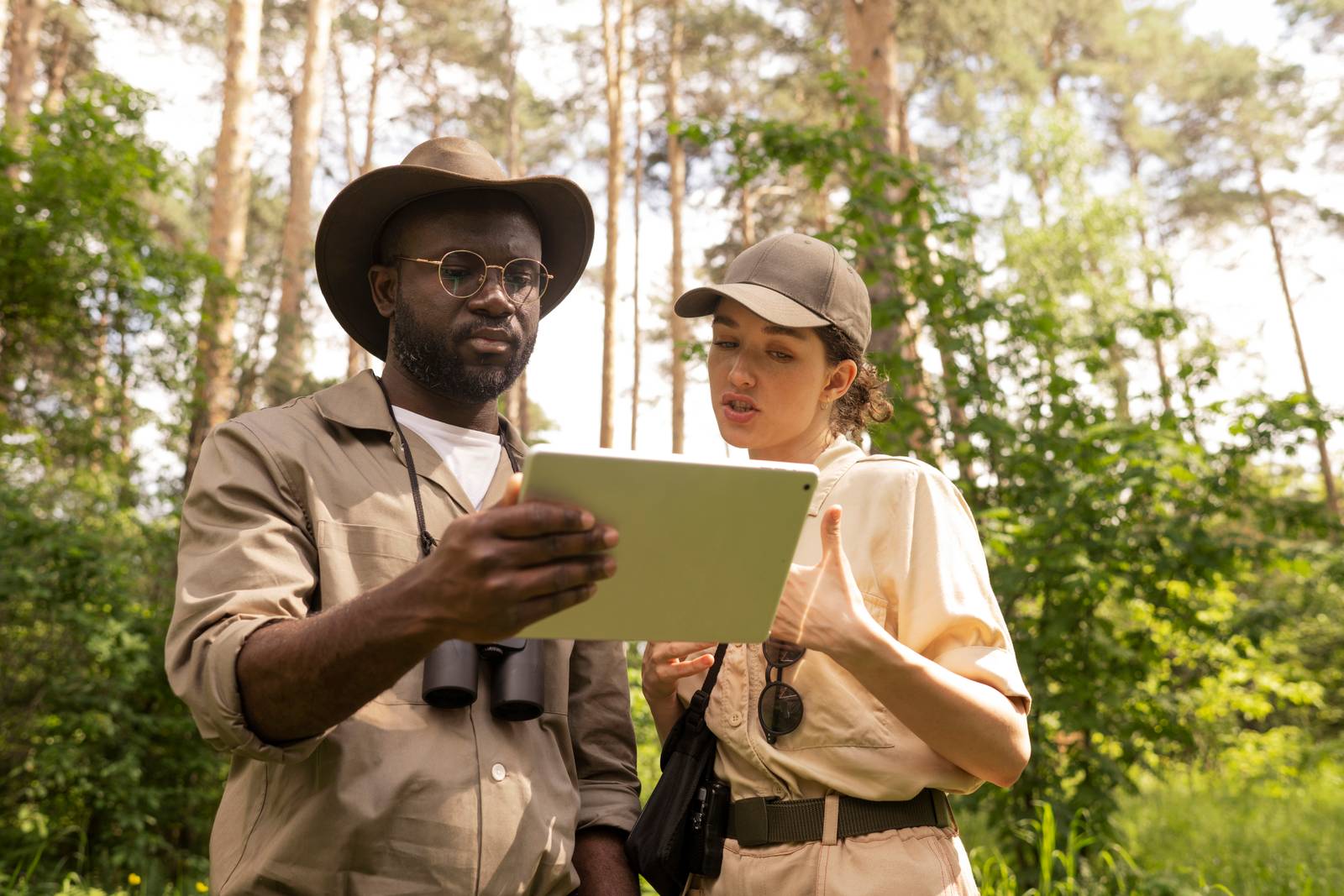 The Role of AI in Wildlife Conservation - Web Digital Media